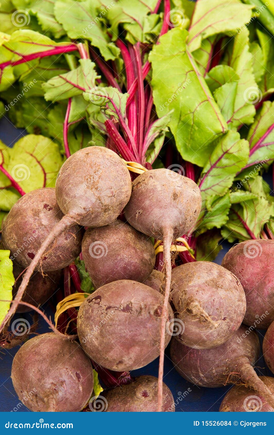 Beets stock photo. Image of freshness, fresh, vegetarian - 15526084