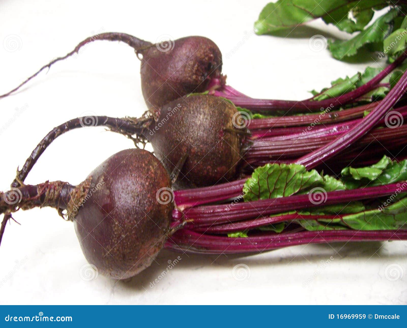 Beets stock image. Image of farm, market, produce, food - 16969959
