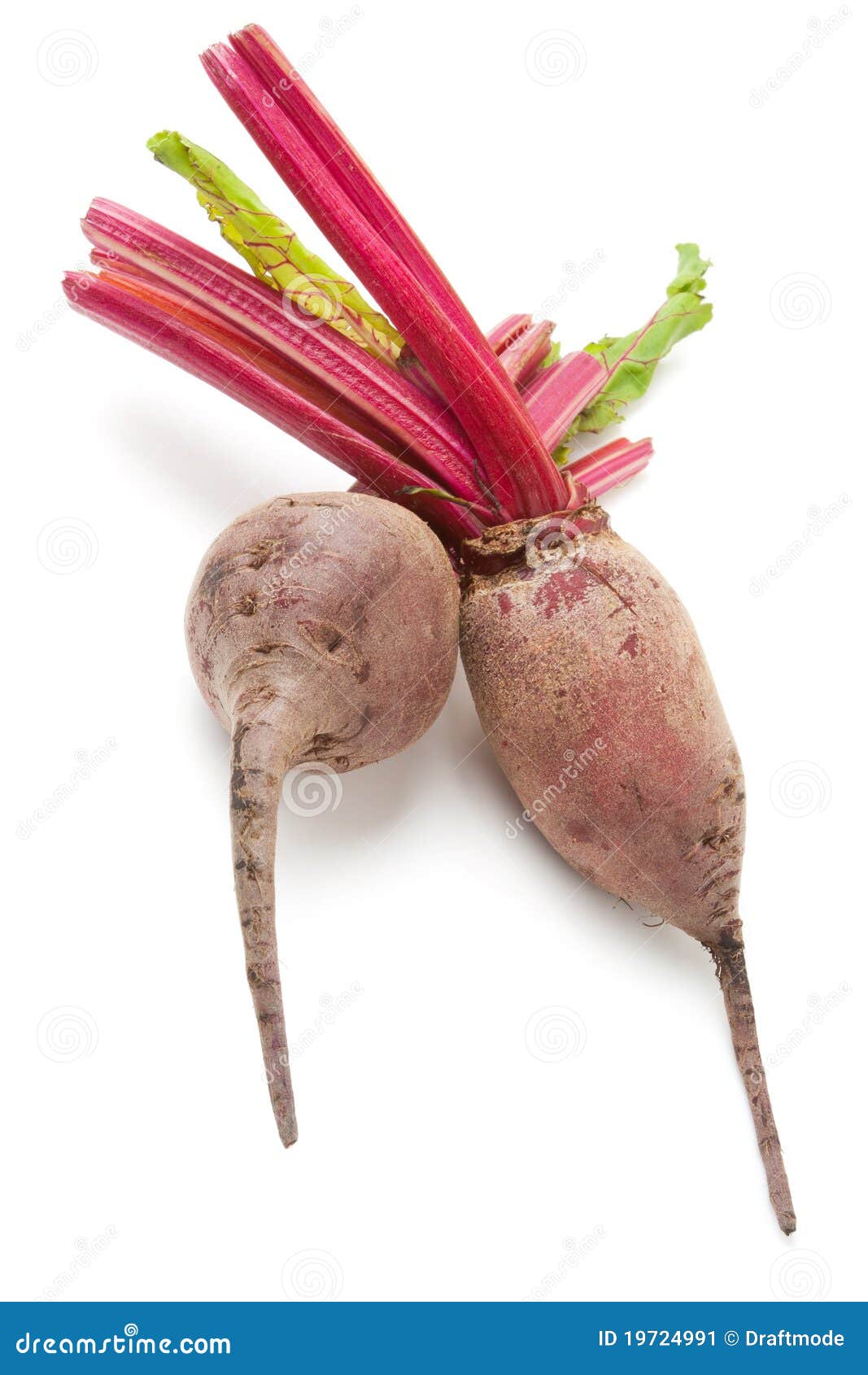 Beets stock image. Image of sugar, roots, close, freshness - 19724991