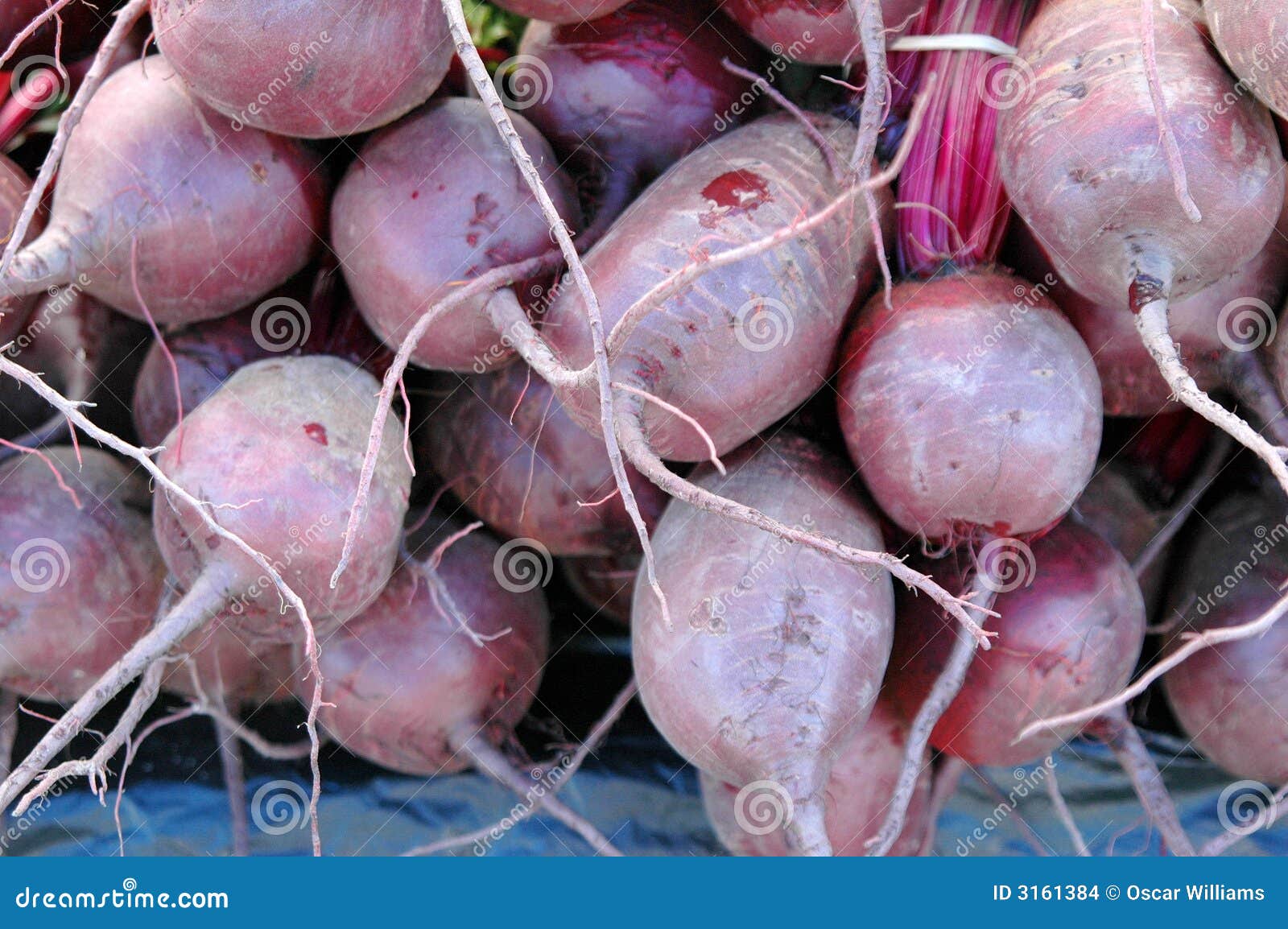 Beets stock photo. Image of beetroot, purple, summer, beets - 3161384