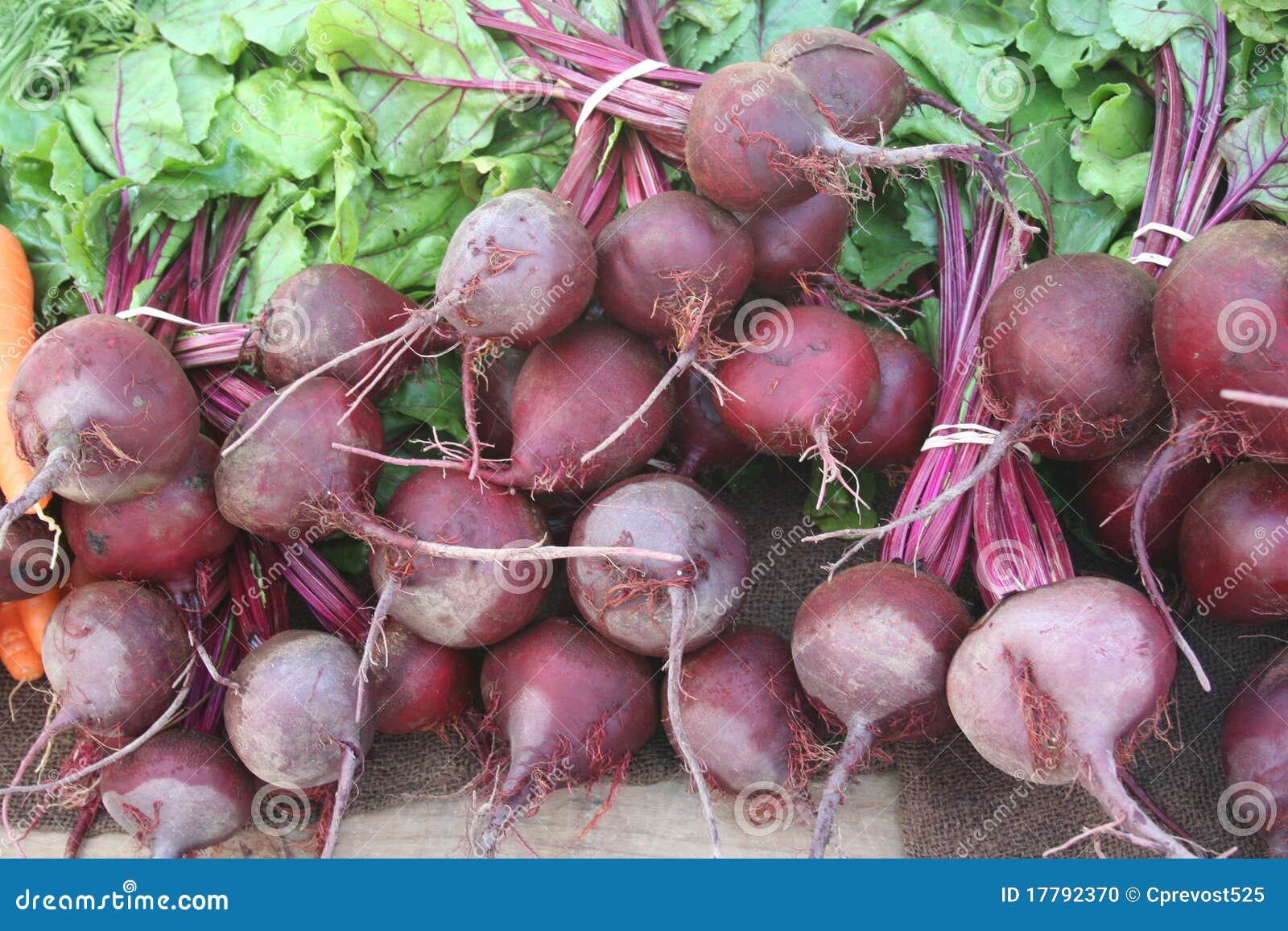Beets in bunches stock photo. Image of cooking, texture - 17792370