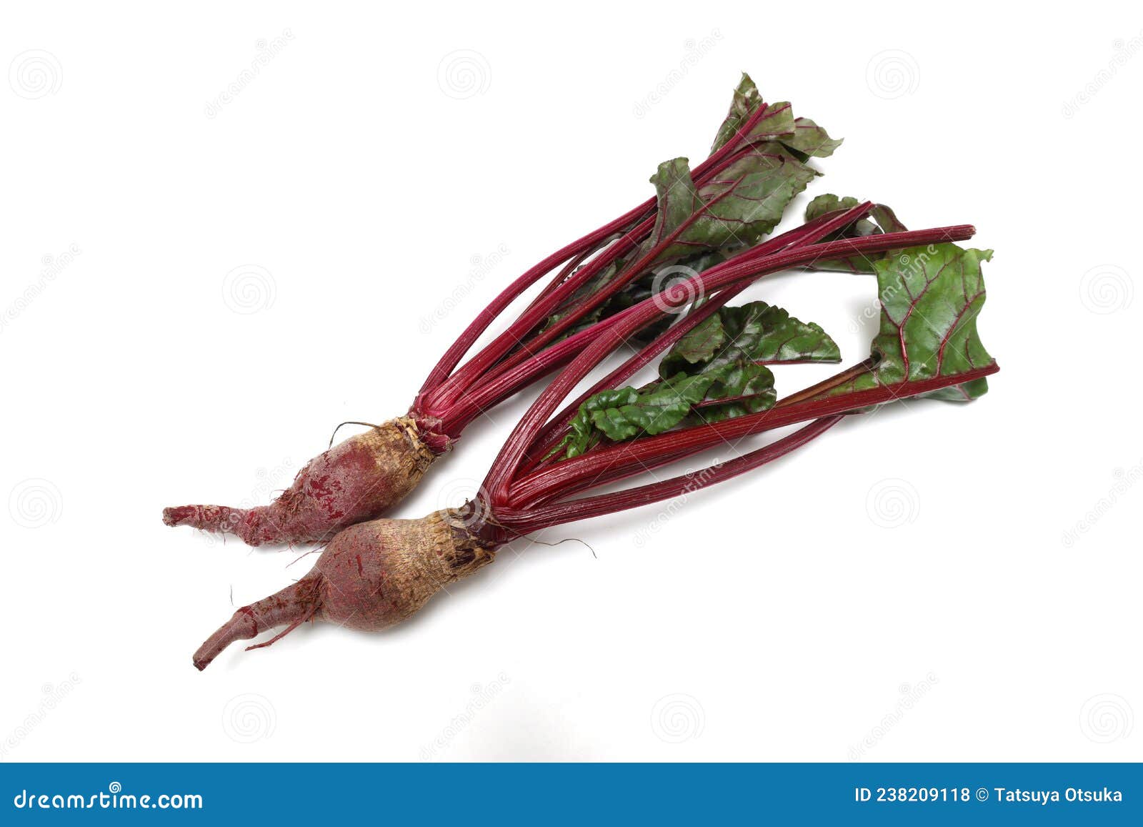 Beets Isolated on a White Background Stock Photo - Image of healthy ...