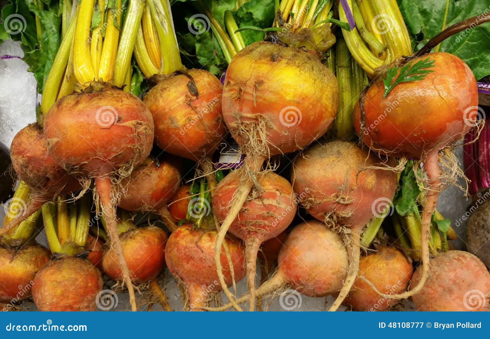 Golden Beets stock image. Image of beets, green, vegetables - 48108777