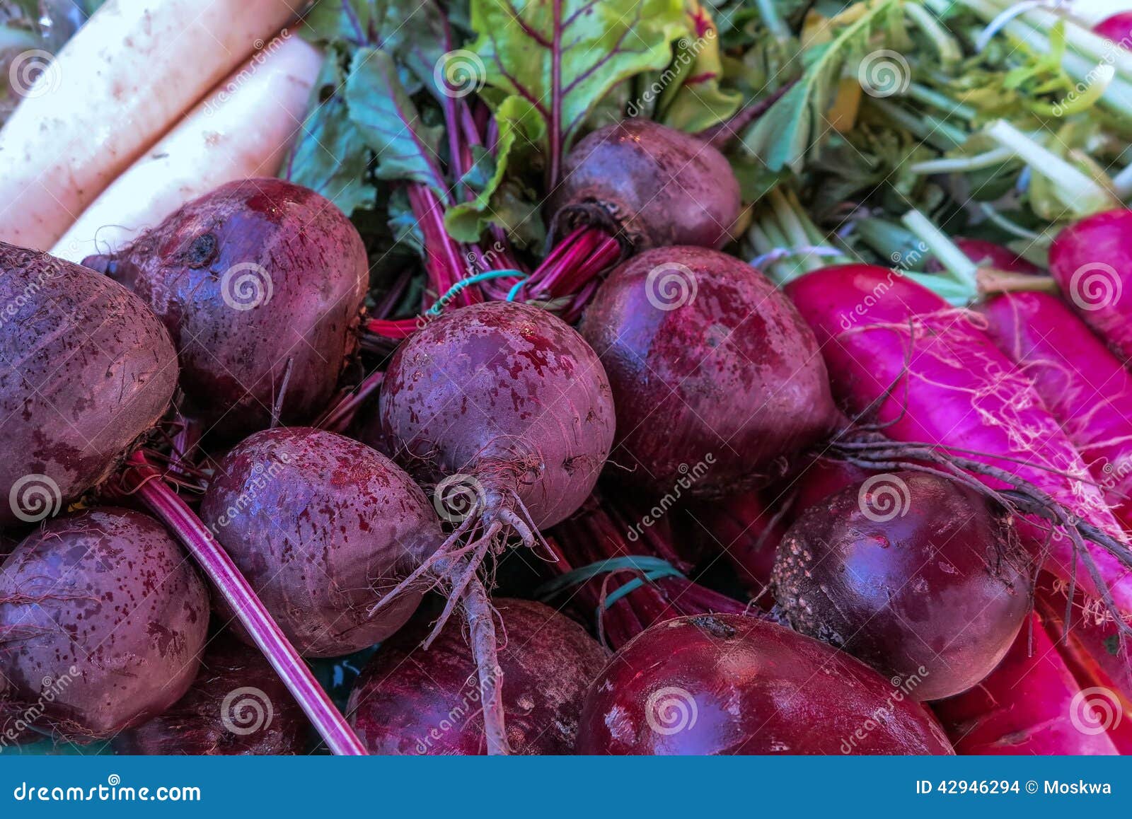 Beets and radish stock photo. Image of root, beta, radish - 42946294
