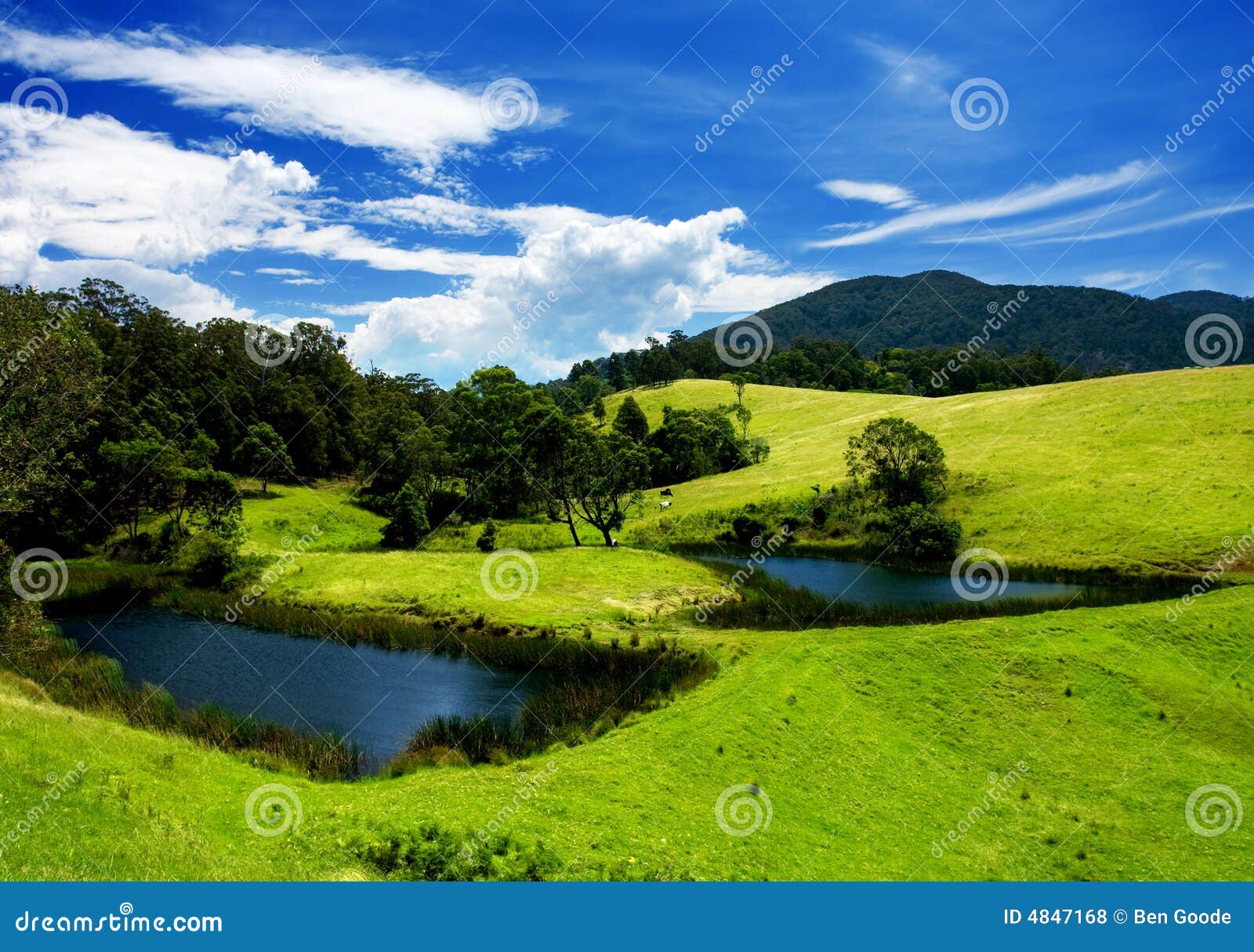Bega Valley Meadows stock photo. Image of rural, bush - 4847168