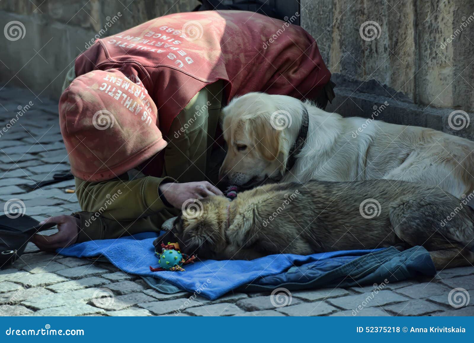 Beggar begging with dogs editorial stock photo. Image of broke - 52375218