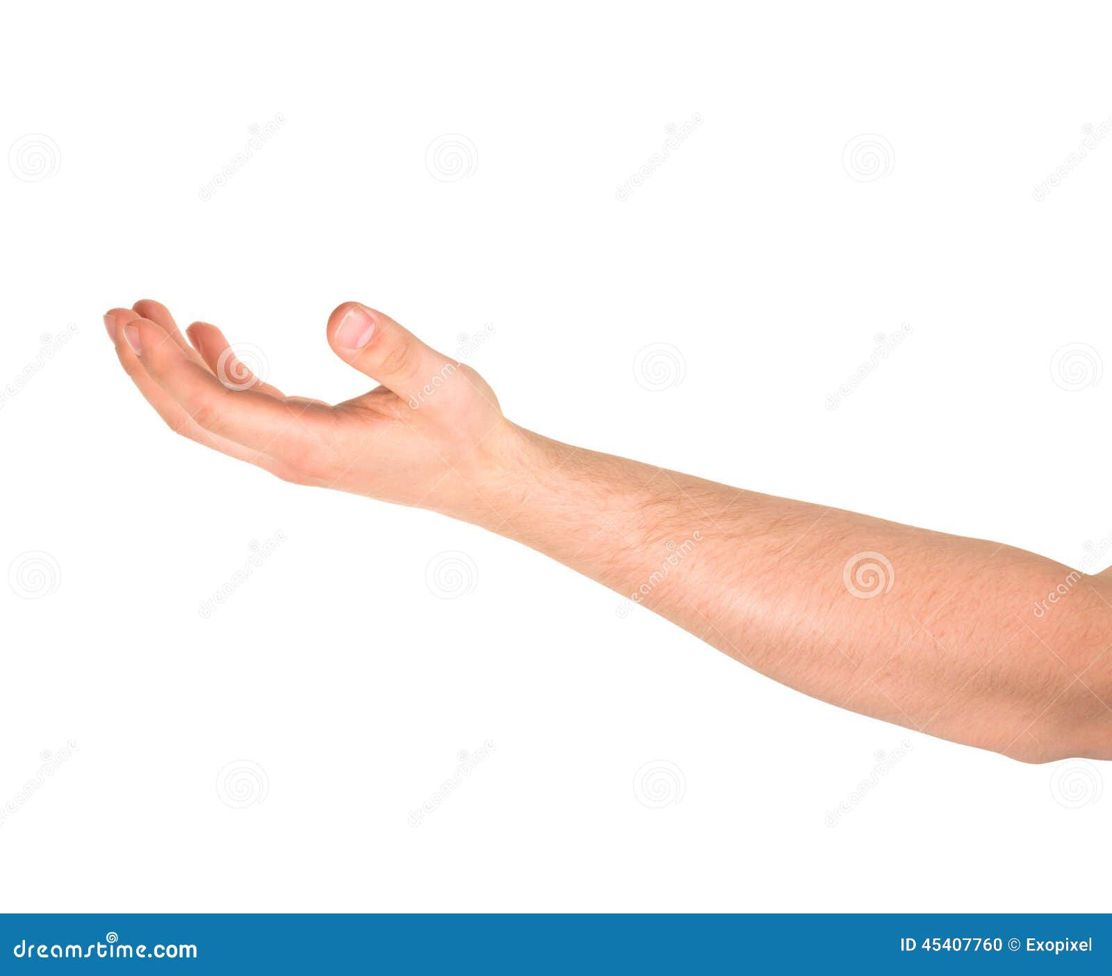 Begging Hand Gesture Isolated Stock Photo - Image of isolated ...