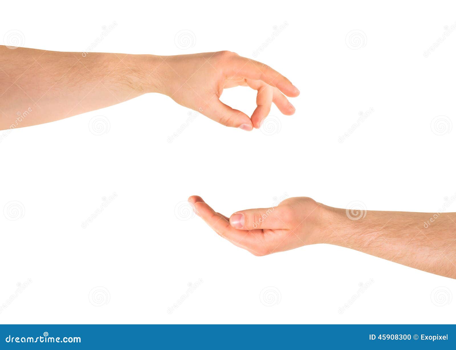 Begging for Help Hand Gesture Isolated Stock Photo - Image of adult ...