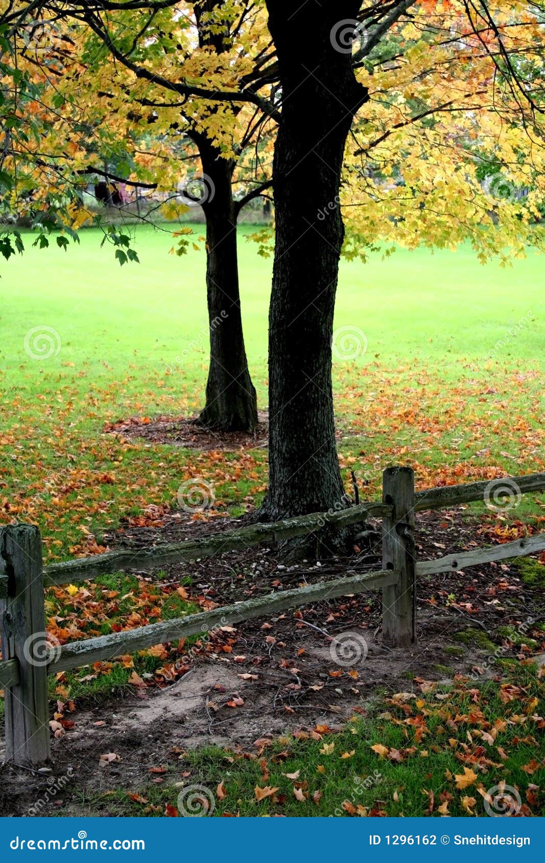 Begining of Autumn stock photo. Image of apple, branch - 1296162