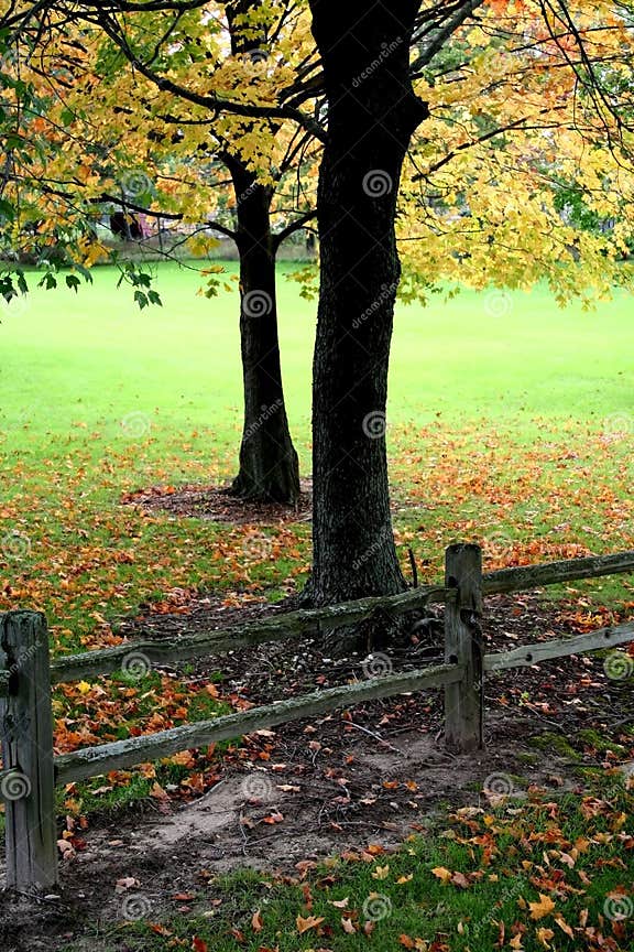 Begining of Autumn stock photo. Image of apple, branch - 1296162