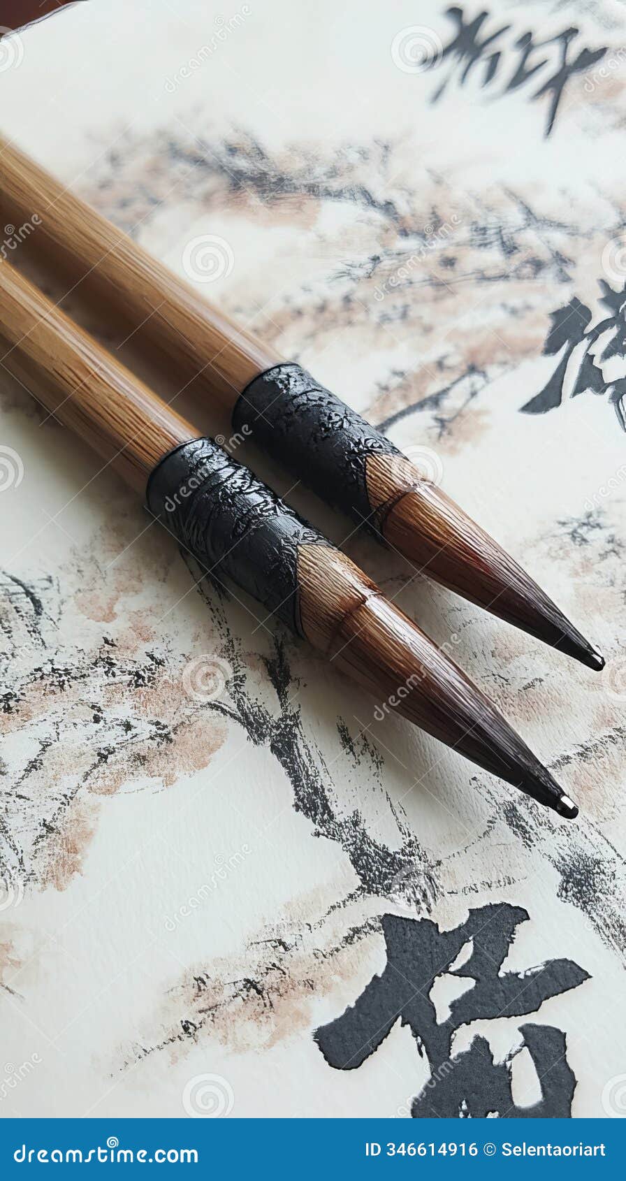 Beginner Calligraphy Sets for New Learners Stock Illustration ...