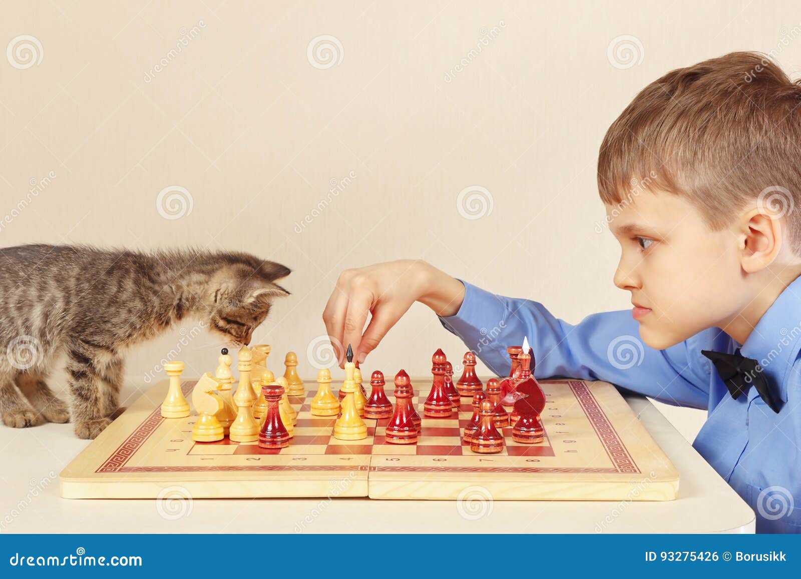 Beginner Grandmaster with Playful Kitten Plays Chess. Stock Photo ...