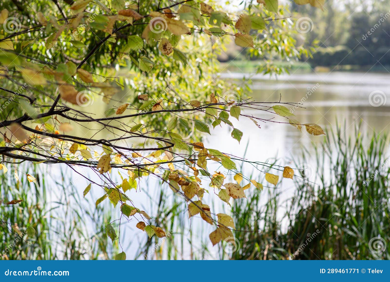 The Beginning of Autumn in the City Park Stock Image - Image of autumn ...