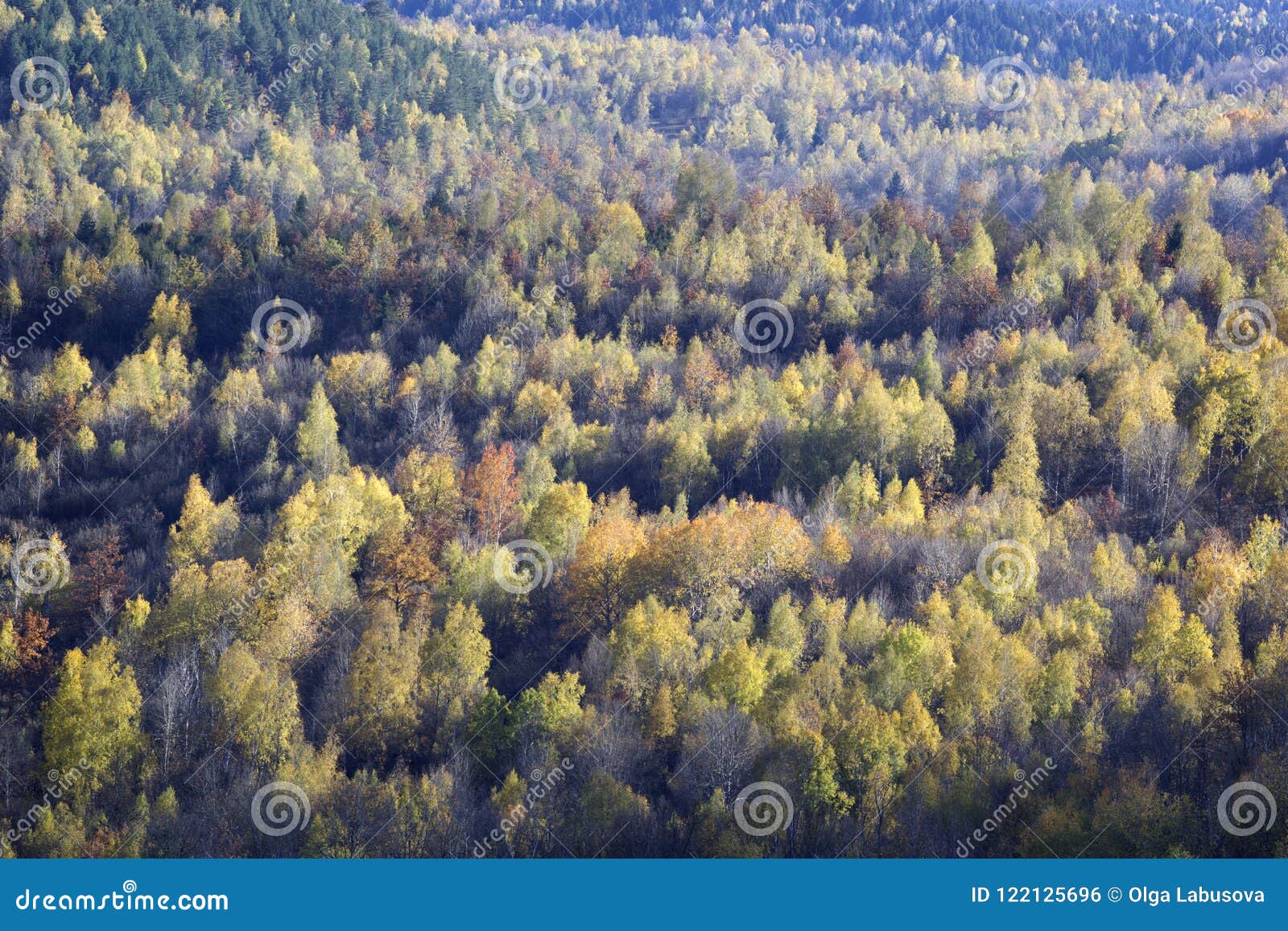 The Beginning of Autumn - Colored Trees Stock Photo - Image of vibrant ...