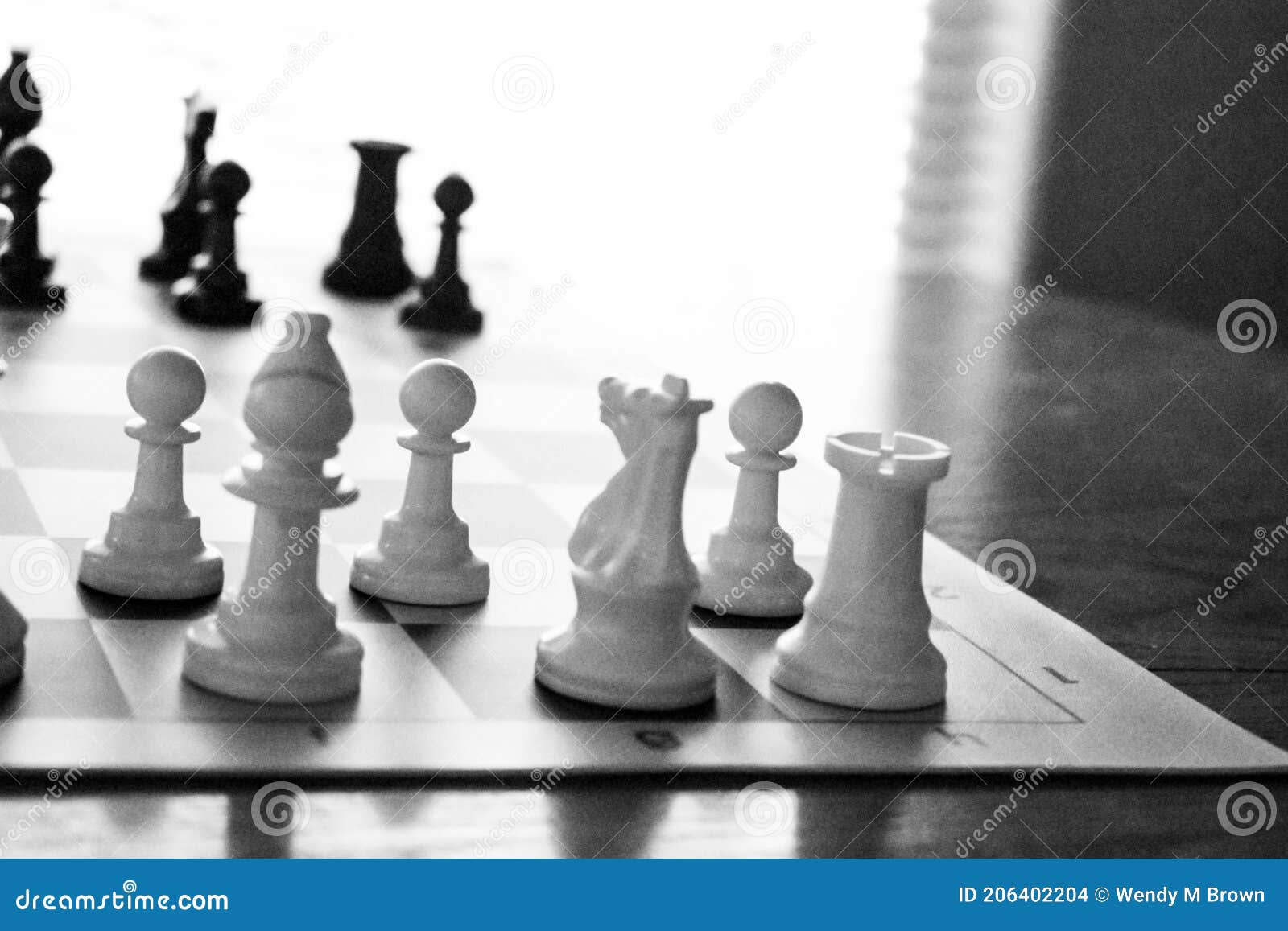 At the Beginning of a Chess Match Stock Photo - Image of knight, black ...