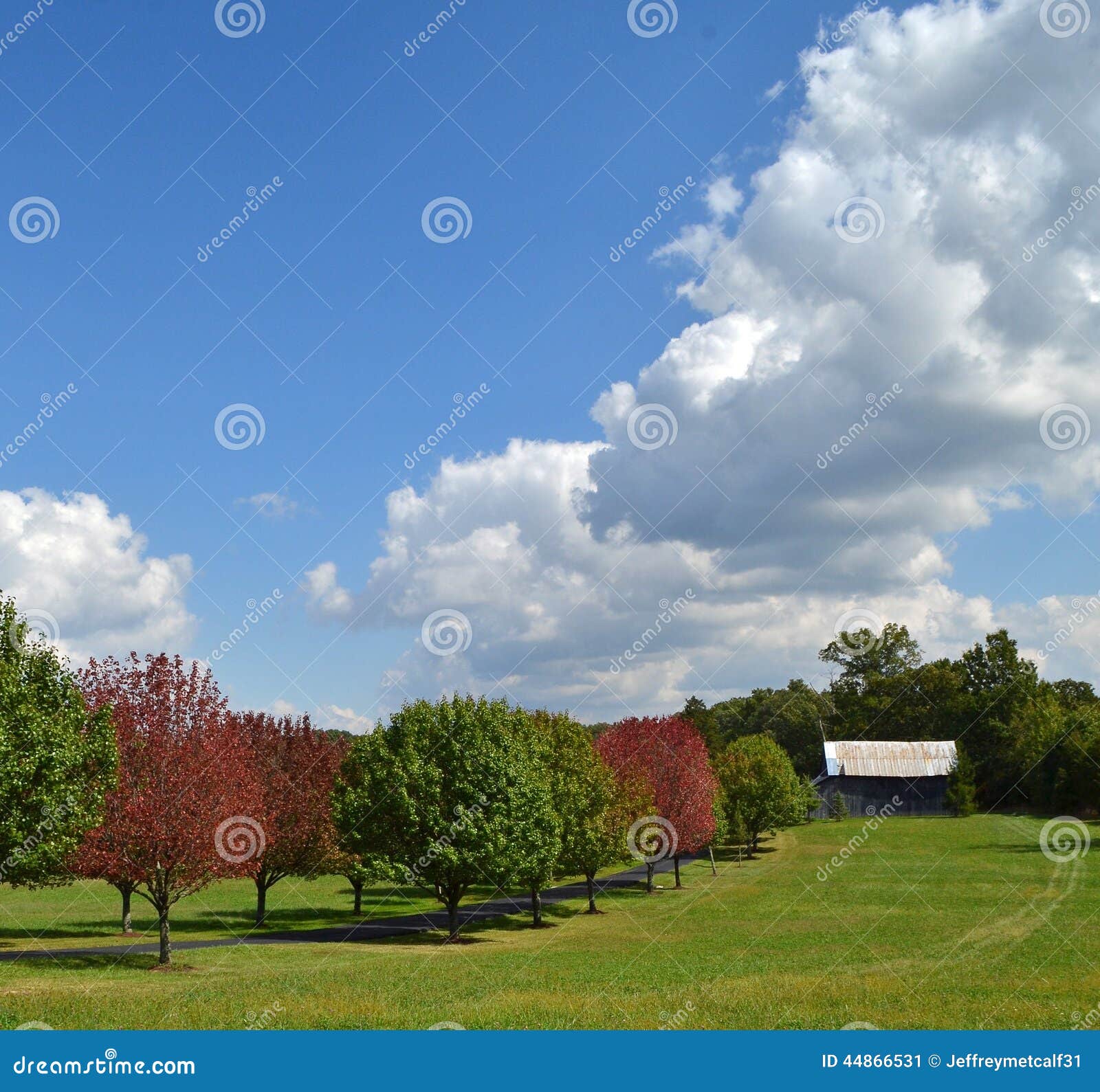 Beginning of fall stock image. Image of green, background - 44866531