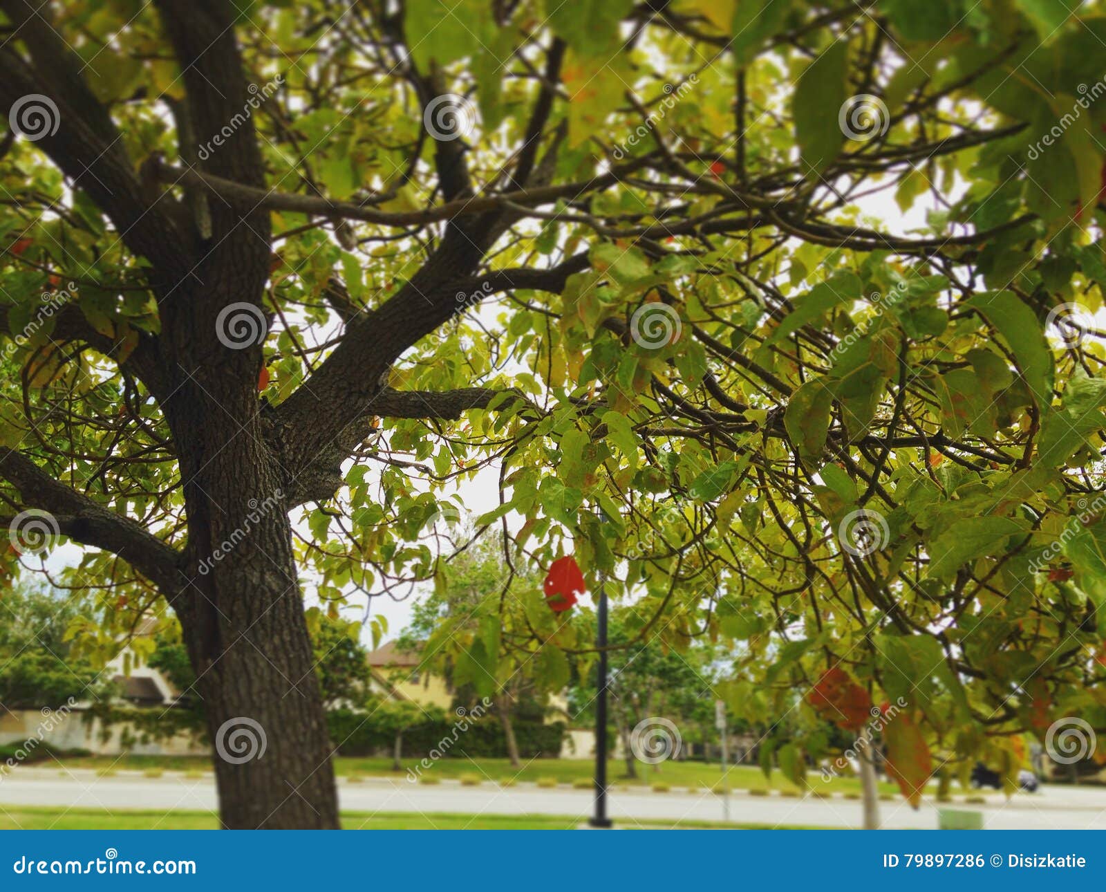 Beginning of a New Start stock photo. Image of walking - 79897286