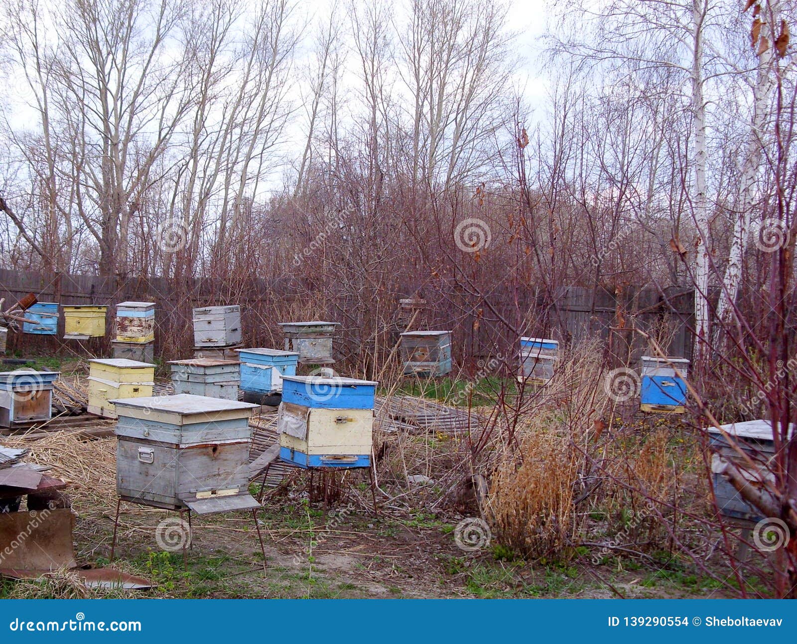 The Beginning of Spring at the Old Apiary. Stock Photo - Image of bees ...