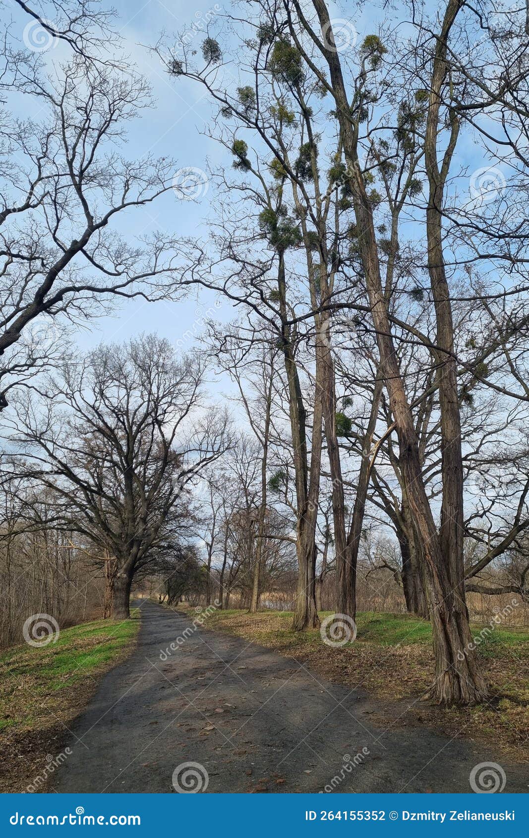 The Beginning of Spring. View of the Park in Early Spring. Stock Photo ...