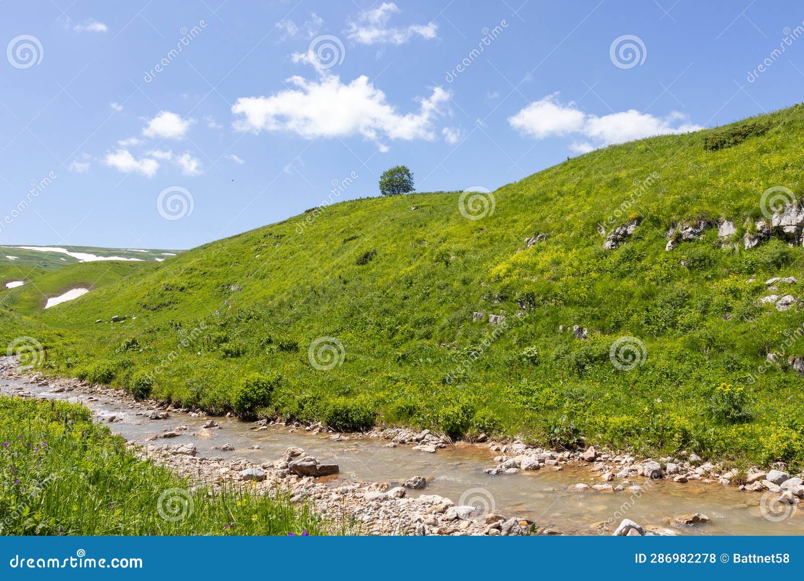The Beginning of Summer , the Sources of the Mountain River Walking ...