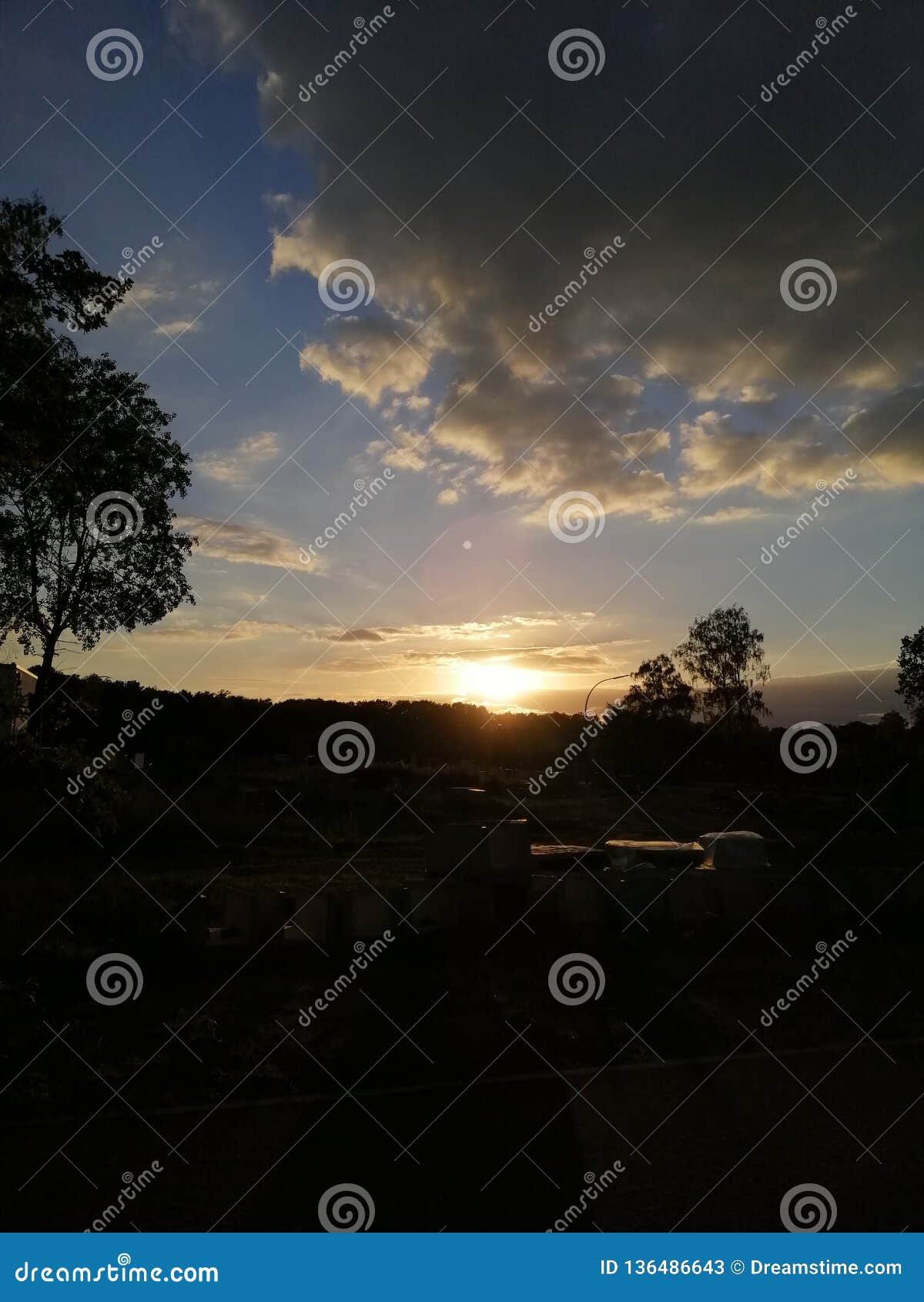 The sun behind the trees stock image. Image of trees - 136486643