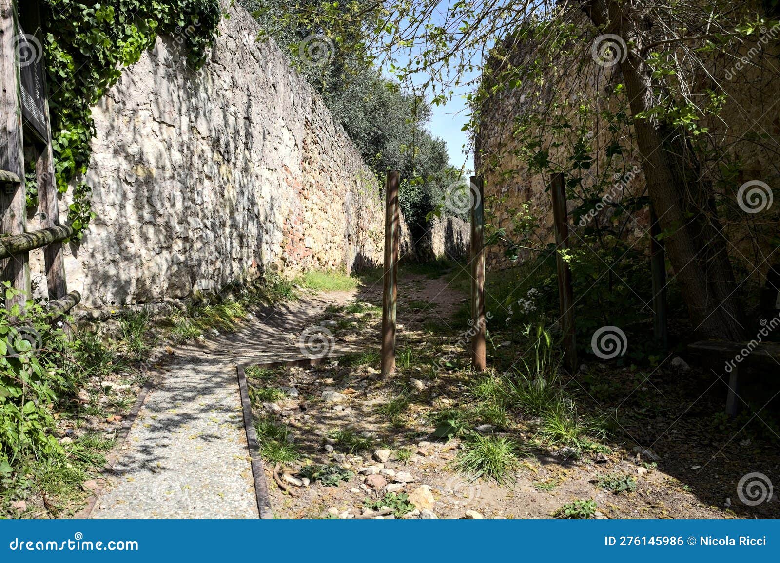 Beginning of a Trail between Stone Walls with an Arching Tree and a ...