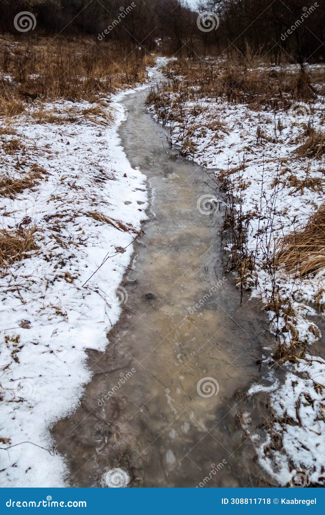 Spring Flood. Spring Stream from Melted Snow. Spring Water Flow Stock ...
