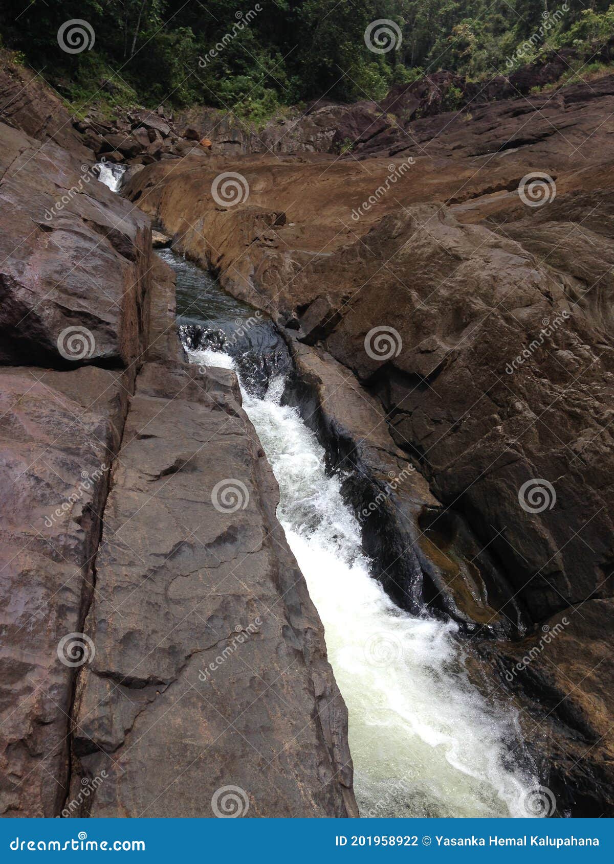 A beginning of water fall stock photo. Image of nnature - 201958922