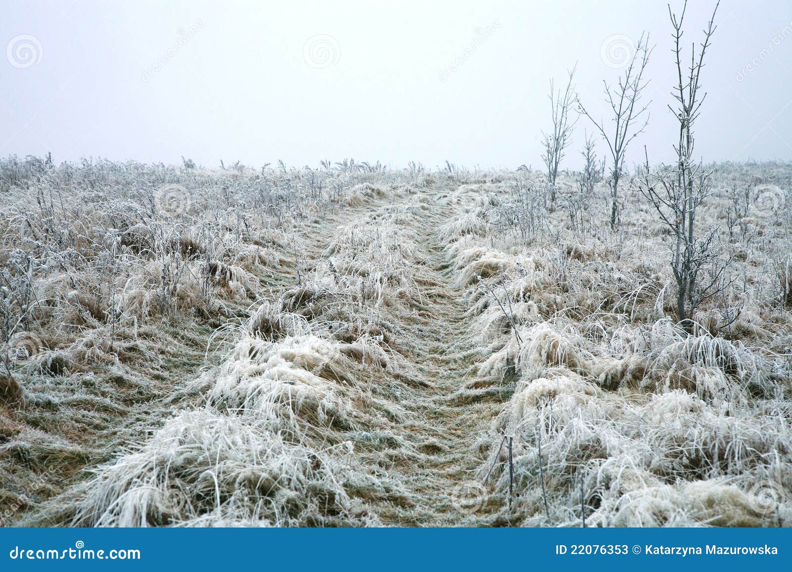 Beginning of winter stock image. Image of nature, covered - 22076353