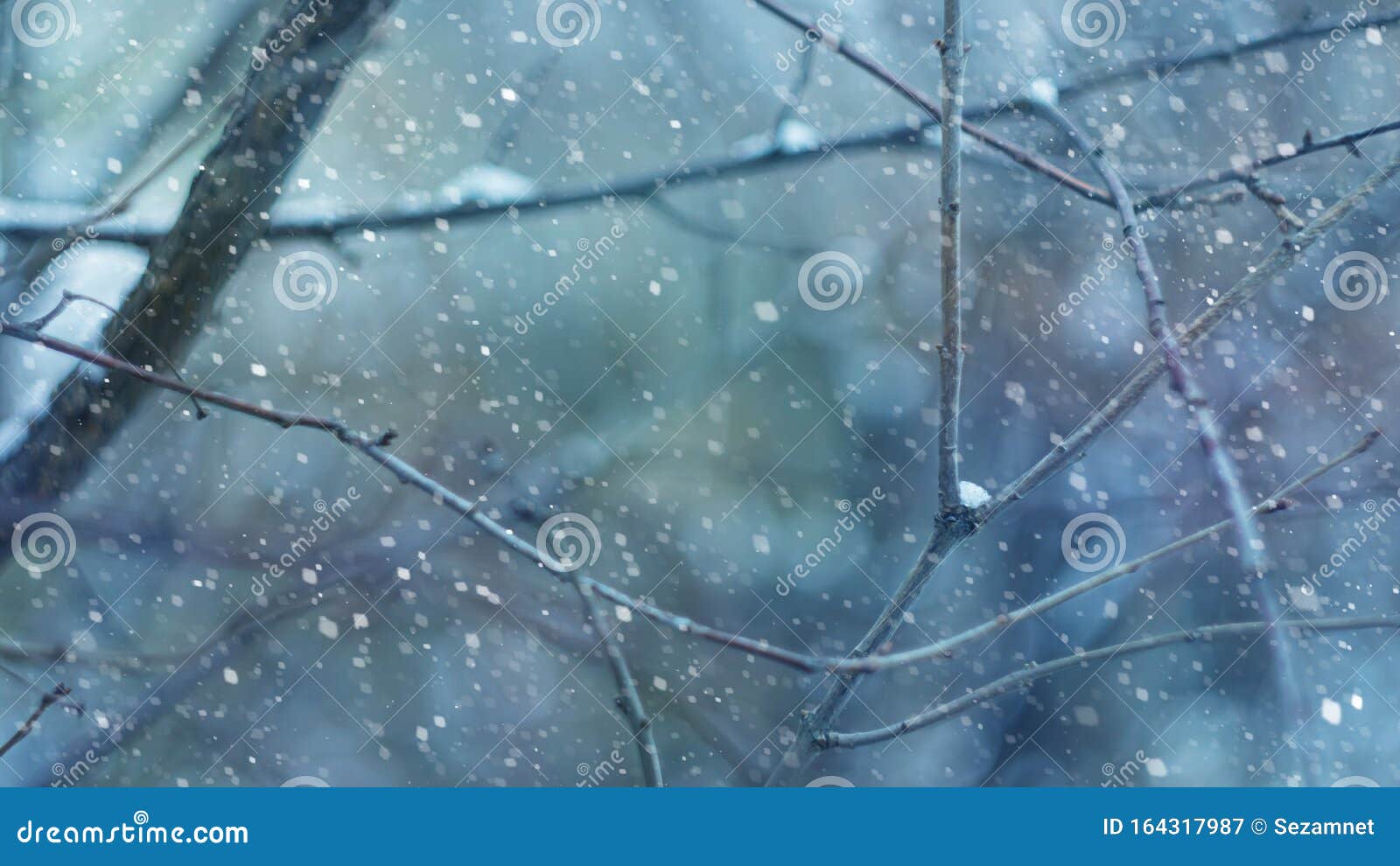 336 December First Falling Snow Stock Photos - Free & Royalty-Free ...
