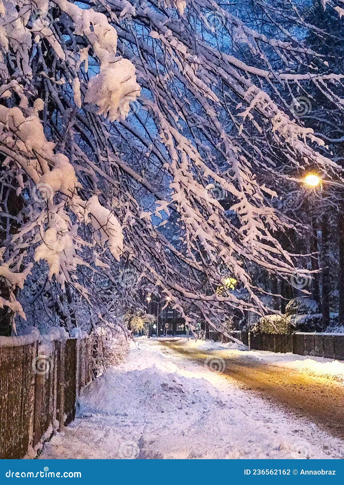 The Beginning of Winter, the First Snow. Snow-covered Streets. Stock ...