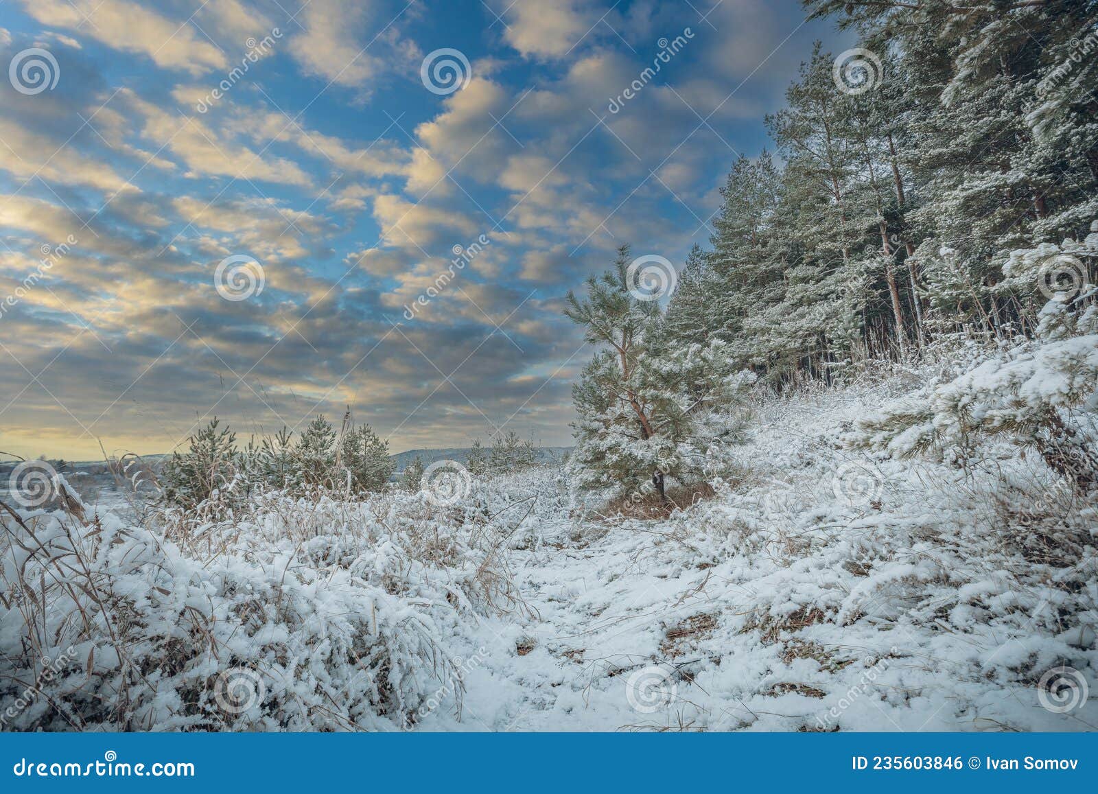 The Beginning of Winter in the Forest in November Stock Photo - Image ...