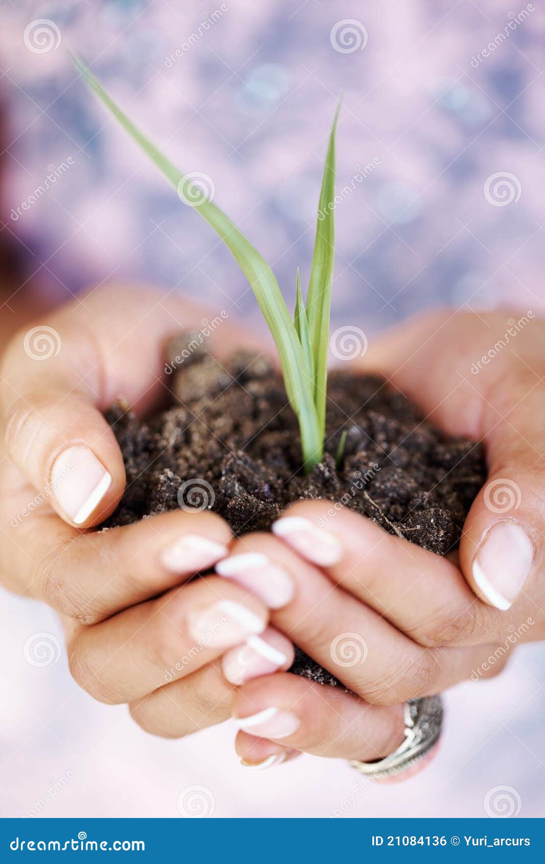 Beginnings stock photo. Image of creative, beginning - 21084136