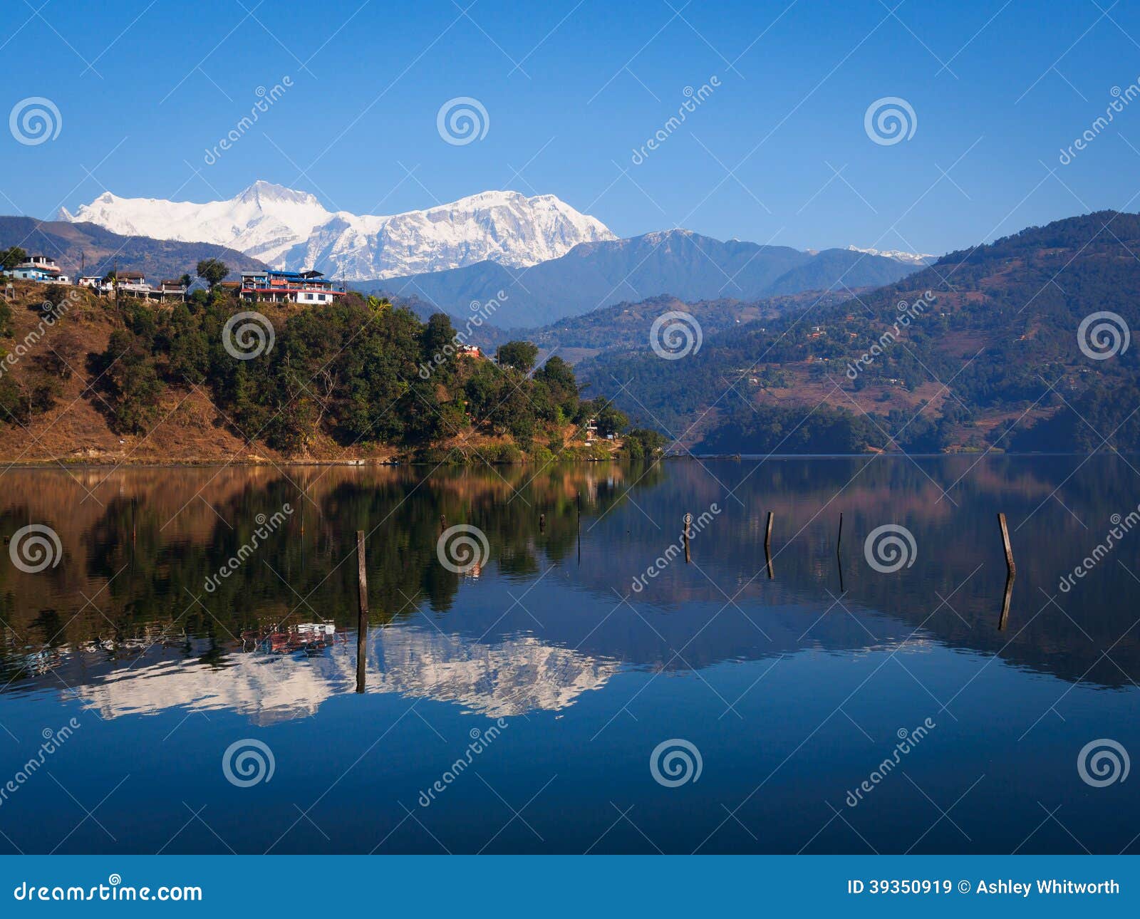 Begnas Tal stock image. Image of still, nature, himalaya - 39350919