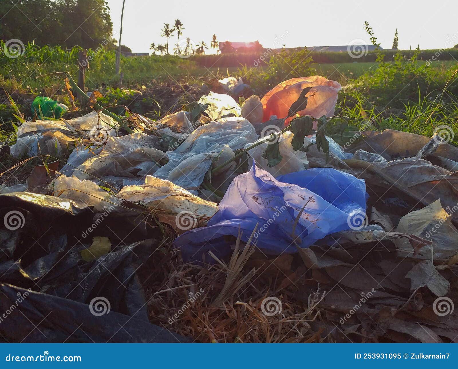 Plastic Garbage and Other Waste on a Beautiful Rice Fields Stock Image ...