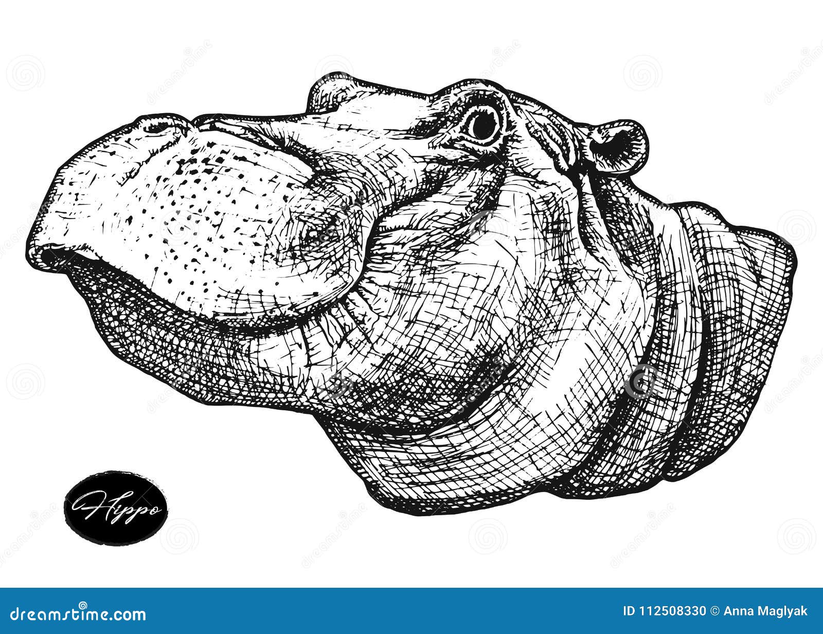 Behemoth hippo hand drawn stock vector. Illustration of ears - 112508330