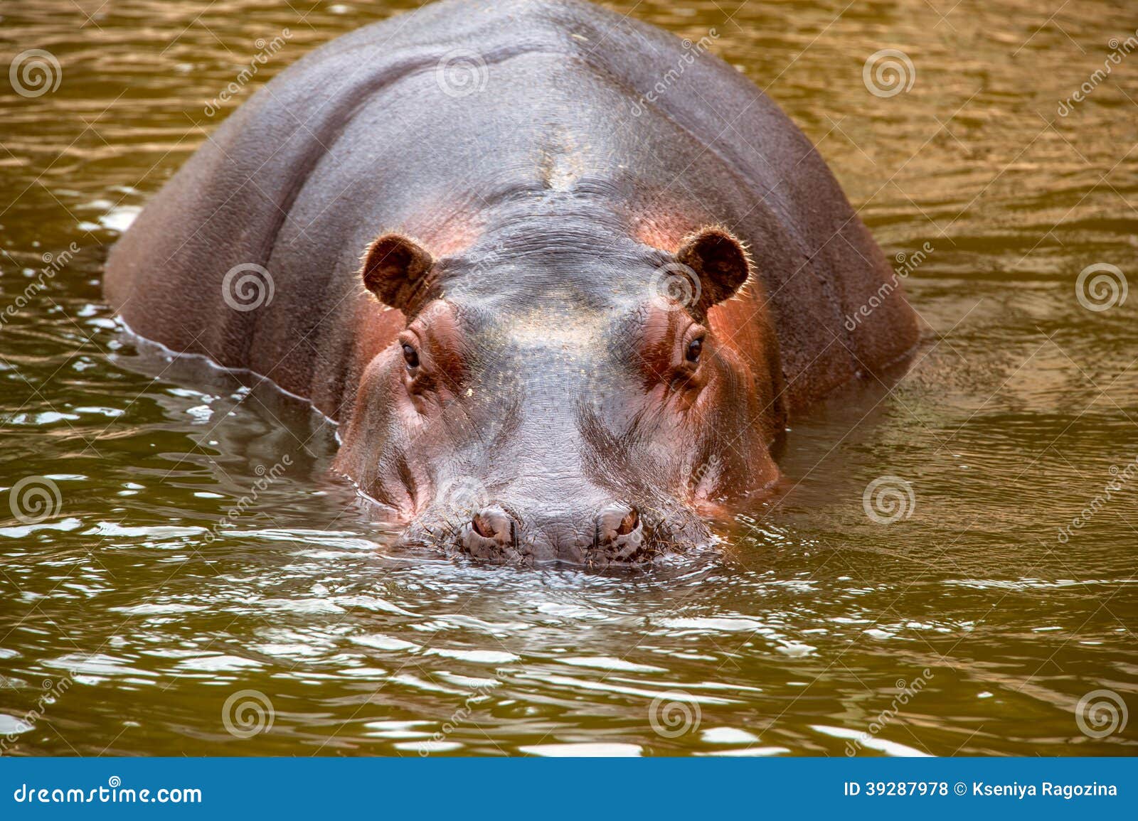 Behemoth Royalty-Free Stock Photography | CartoonDealer.com #114412739