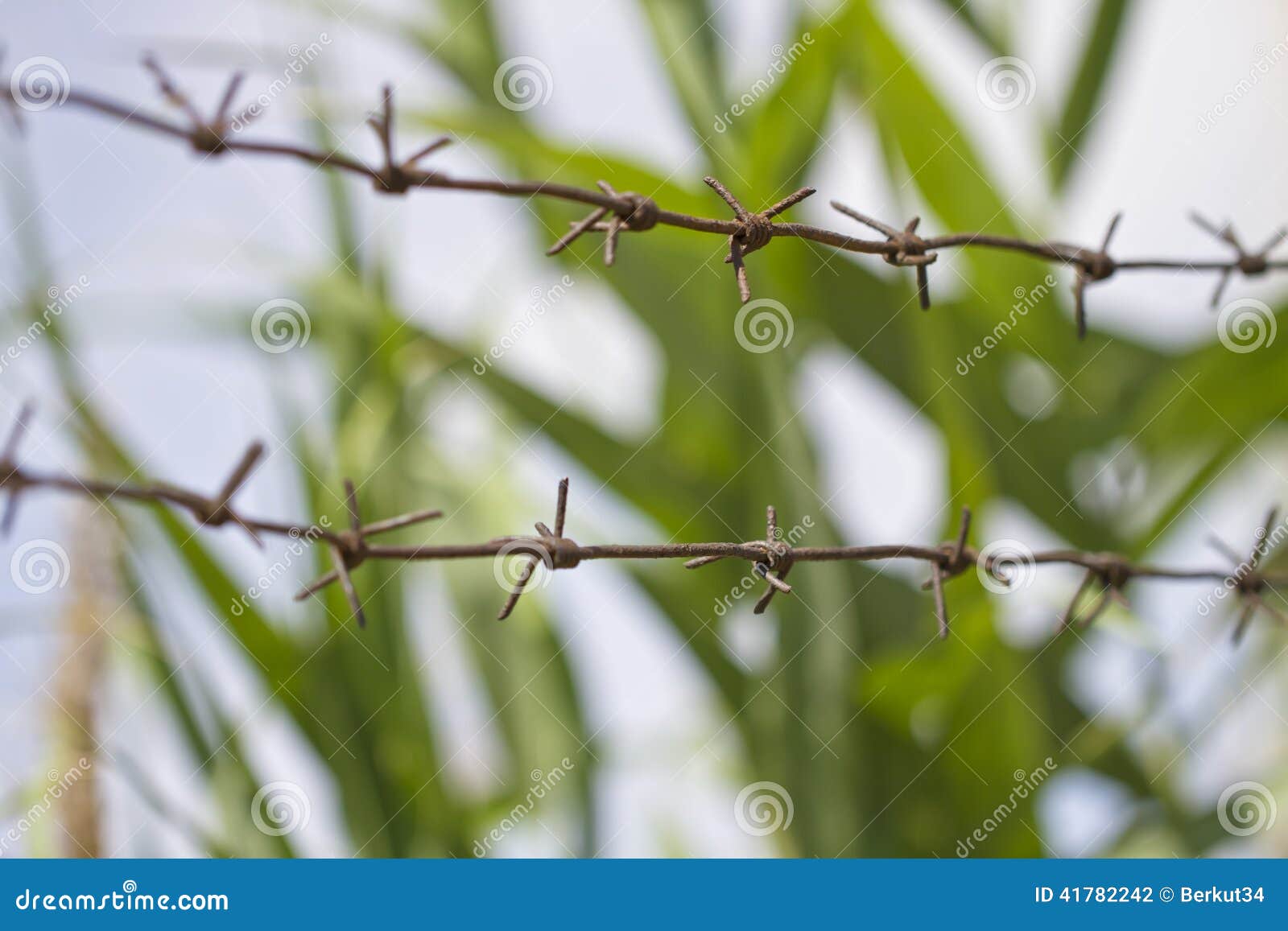Behind barbed wire stock photo. Image of sunset, security - 41782242