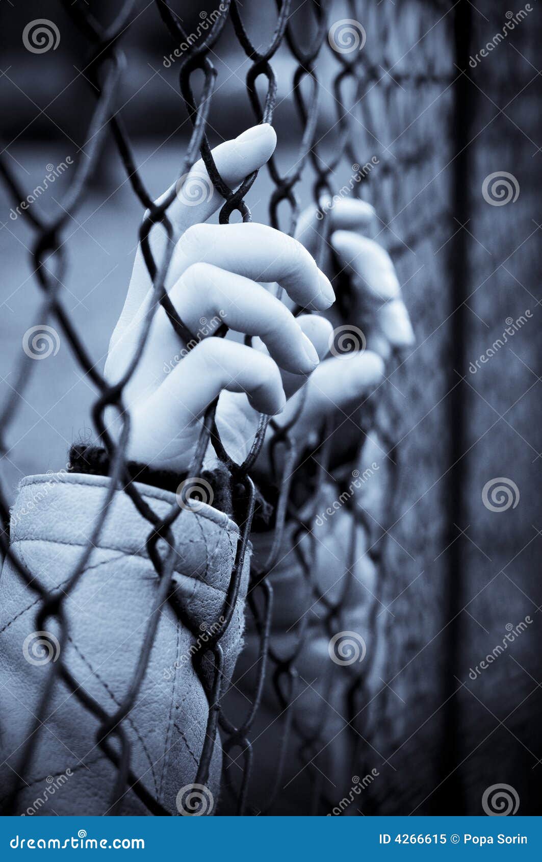 Behind bars stock image. Image of captured, caught, capital - 4266615