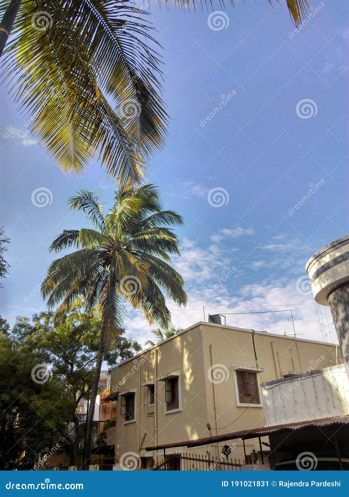 Behind the Coconut Tree is a Cement House and Nice Sky Stock Image ...