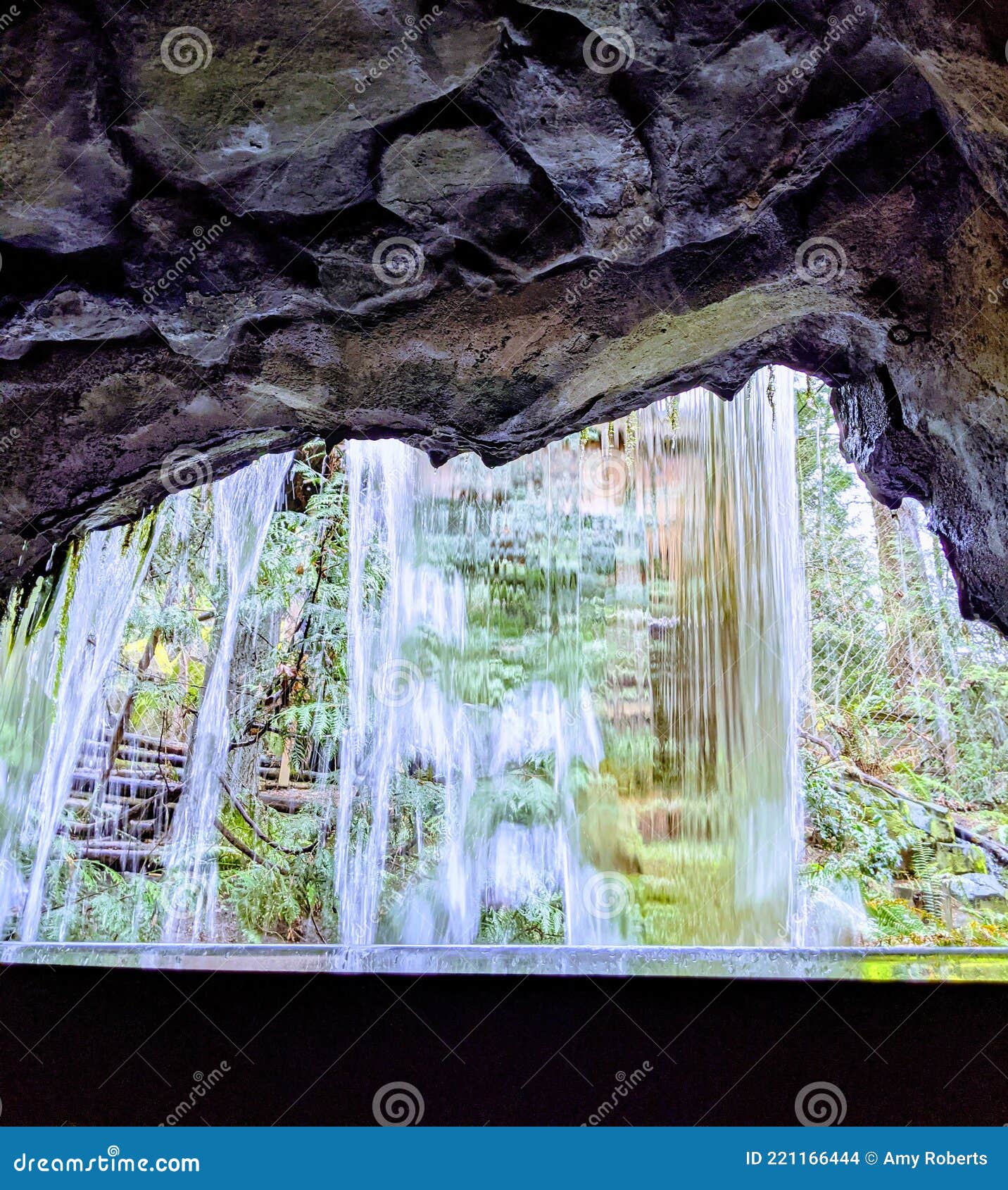 Behind the Fall stock photo. Image of water, autumn - 221166444