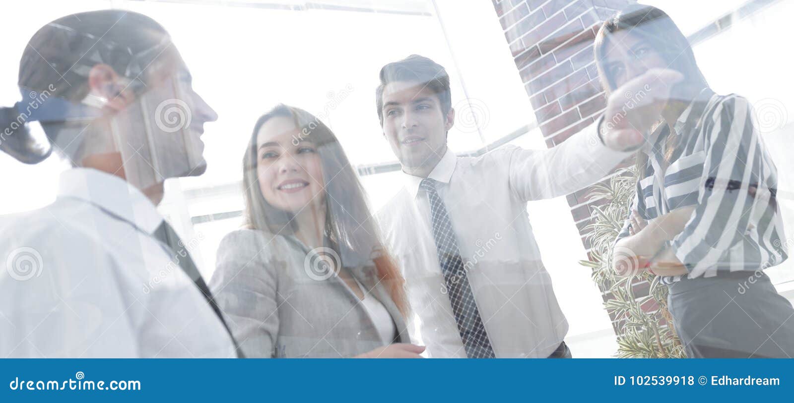 From Behind the Glass.business Team in the Officce Stock Photo - Image ...