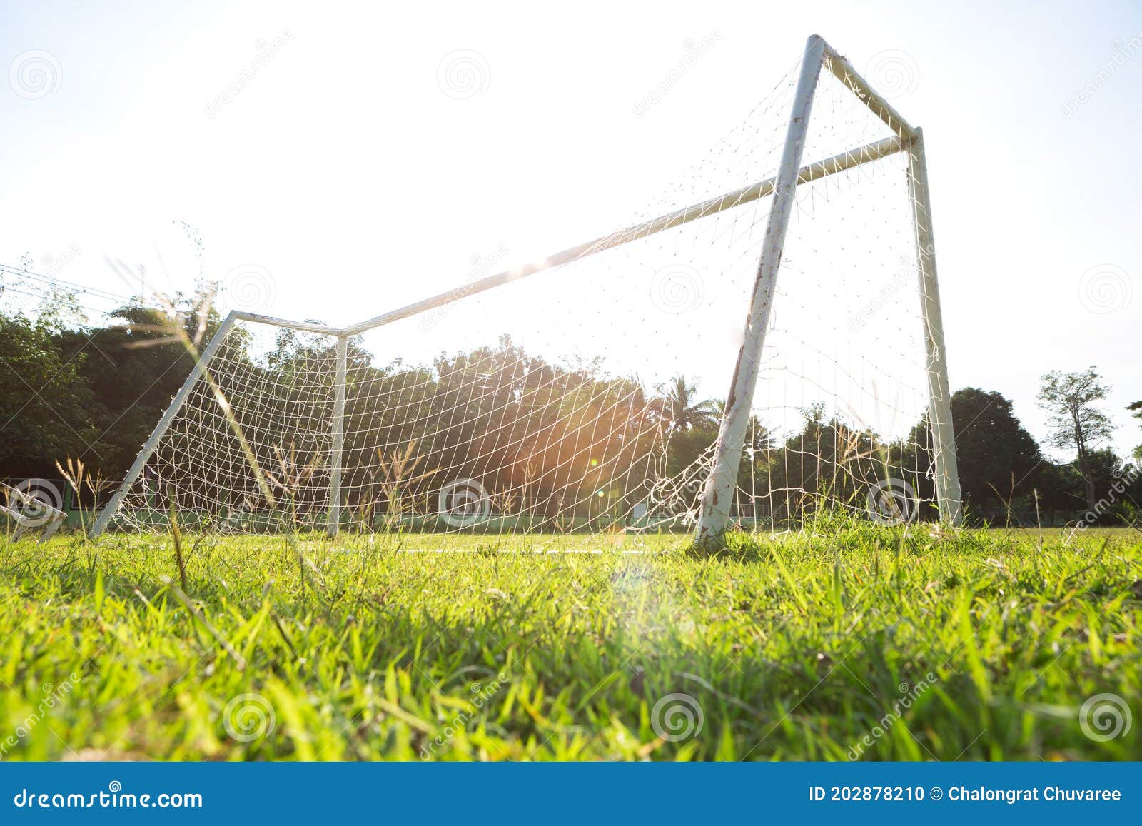 Behind the Goal Football on the Field with Sunlight Stock Photo - Image ...