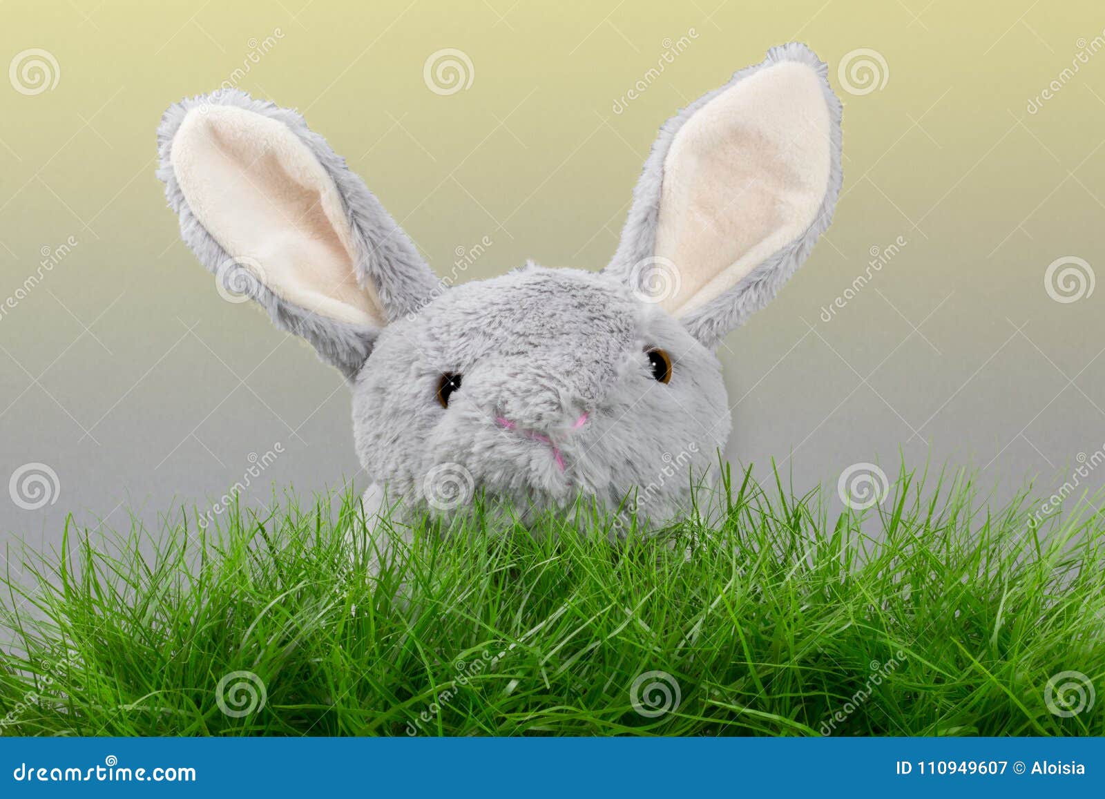 Easter Bunny Behind the Green Grass. Stock Image - Image of white ...