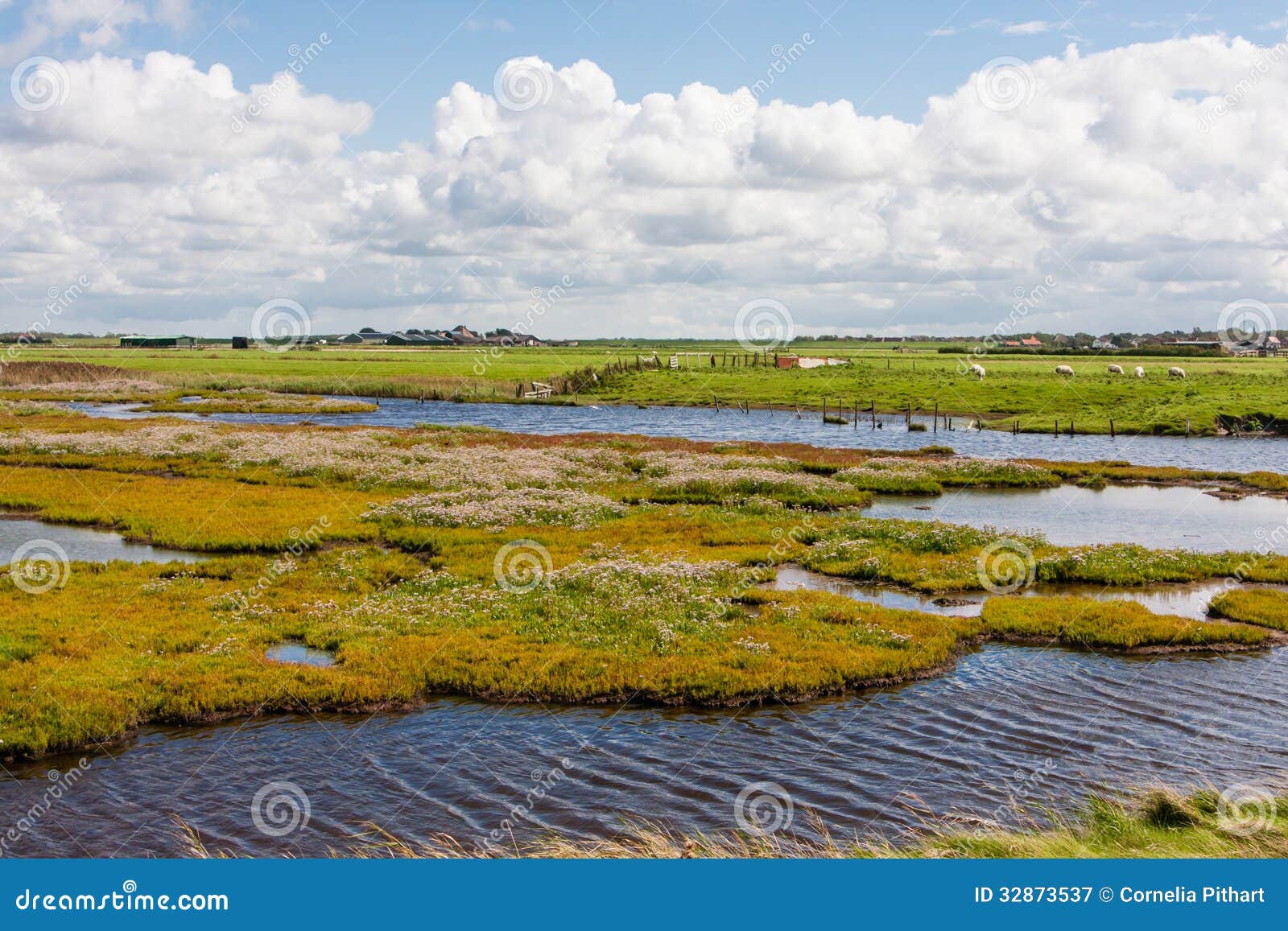 Behind the levee stock image. Image of format, green - 32873537