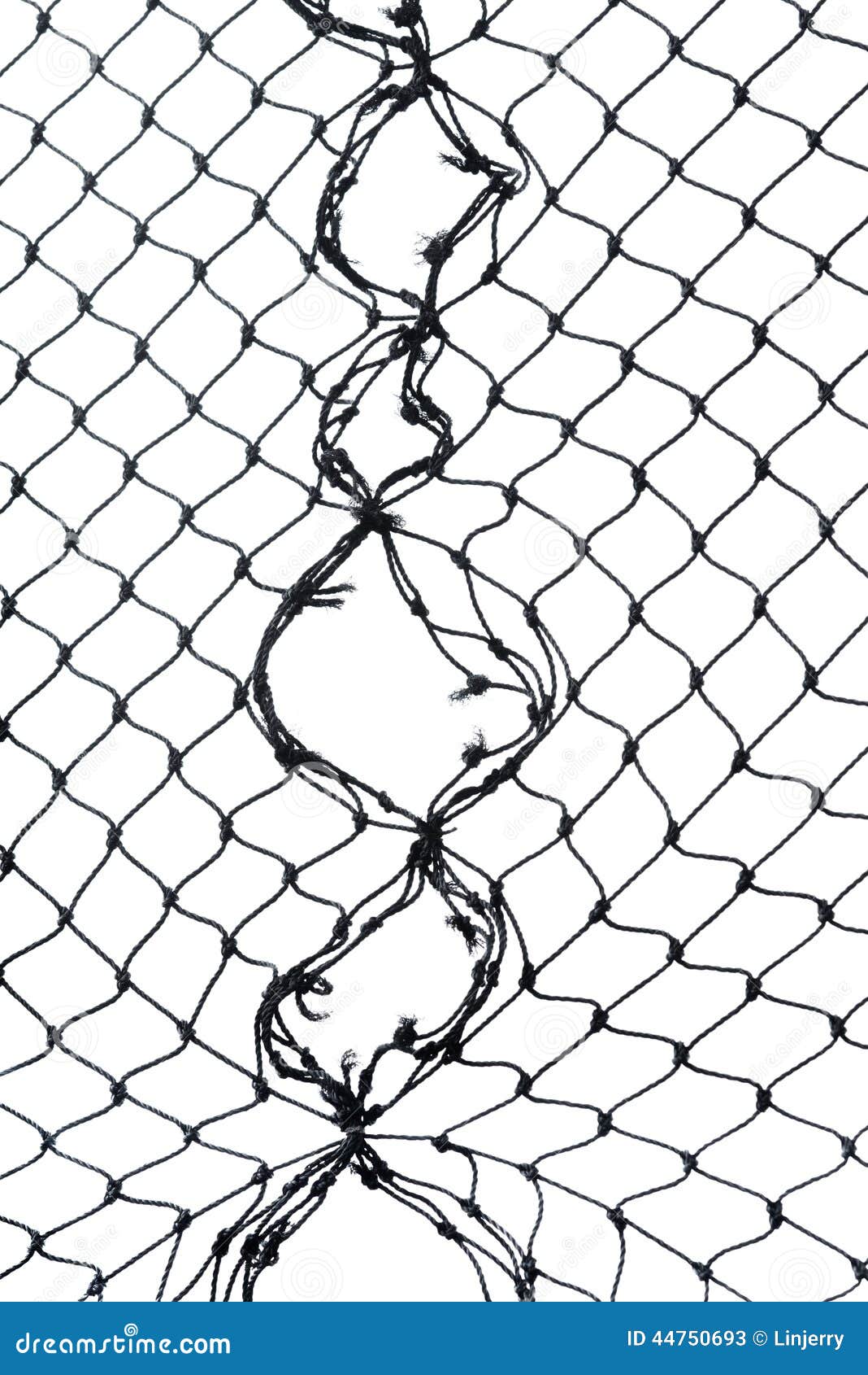 Behind the net stock image. Image of organization, park - 44750693