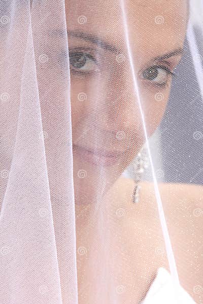 Behind Veil stock photo. Image of eyes, dress, marriage - 5252744