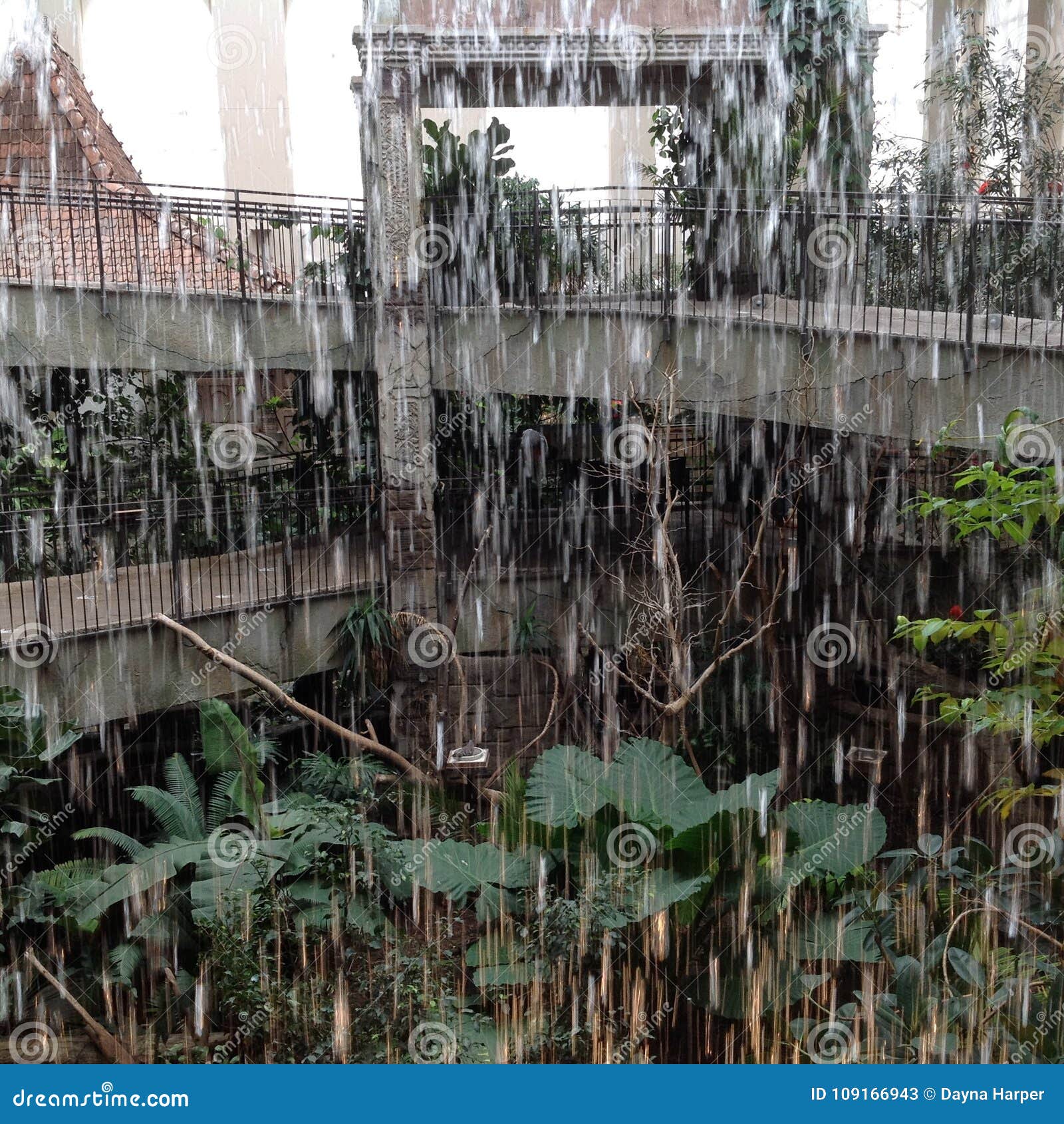Behind the waterfall stock image. Image of watching - 109166943