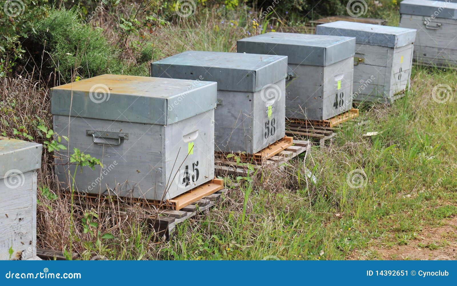 Behives stock image. Image of spring, behive, nature - 14392651