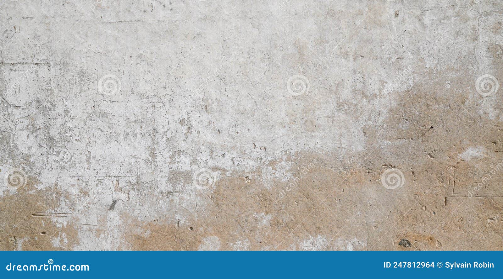 Beige Background Light White Brown Plaster Wall Sand Long in Panoramic ...